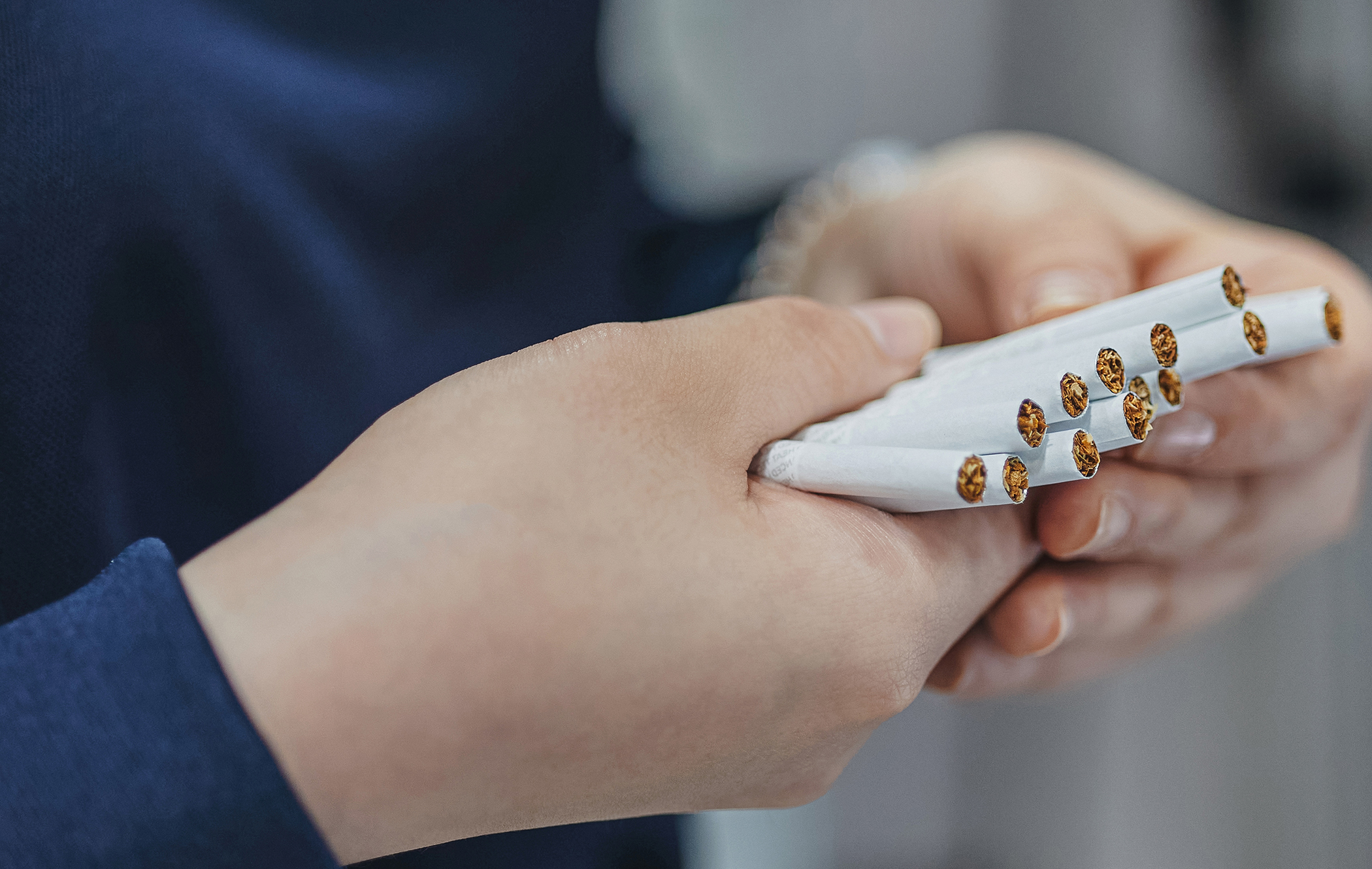 BIGOTT - Marcas y productos