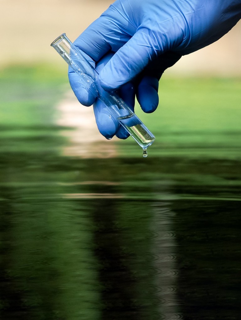 BIGOTT - Marcas y productos