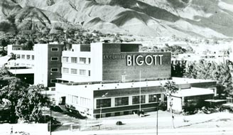 BIGOTT - Acerca de nosotros